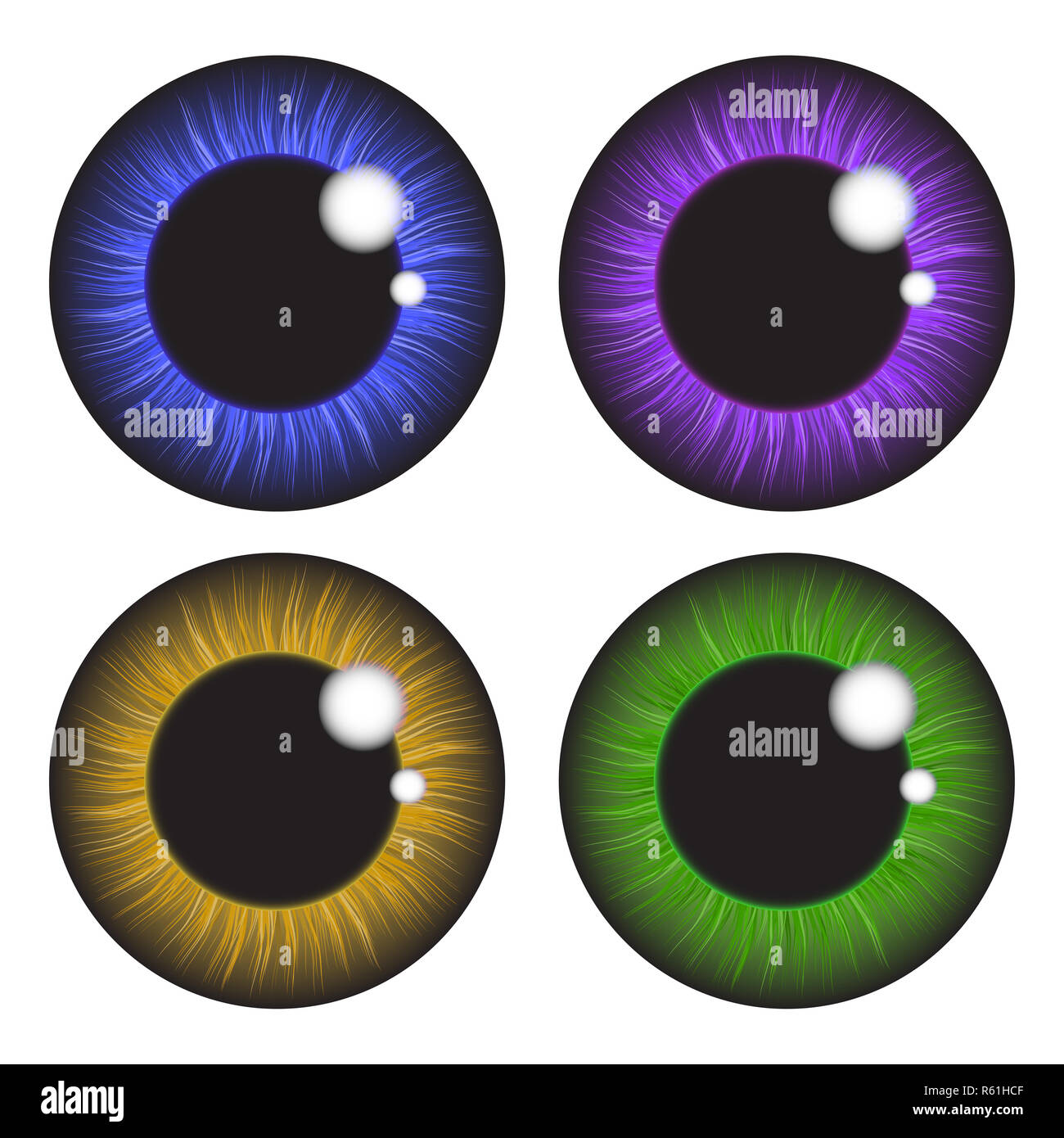iris eye realistic vector set design isolated on white background Stock ...