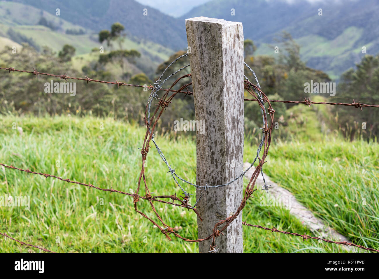 Barbed Wire Fence Post Stock Photo - Alamy