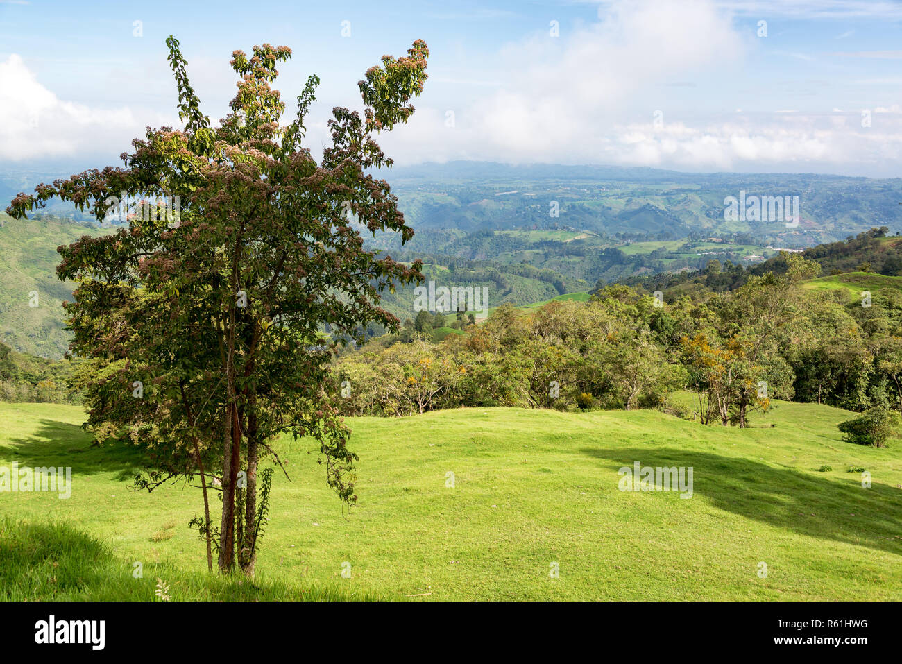 Rural Colombian Landscape Stock Photo - Alamy