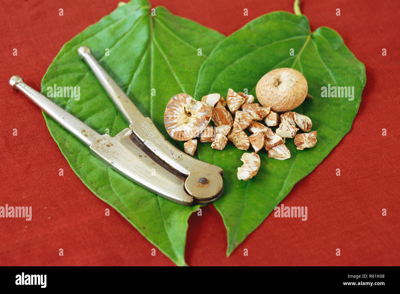 Betel nuts on betel leaf to make paan on red background Stock Photo - Alamy