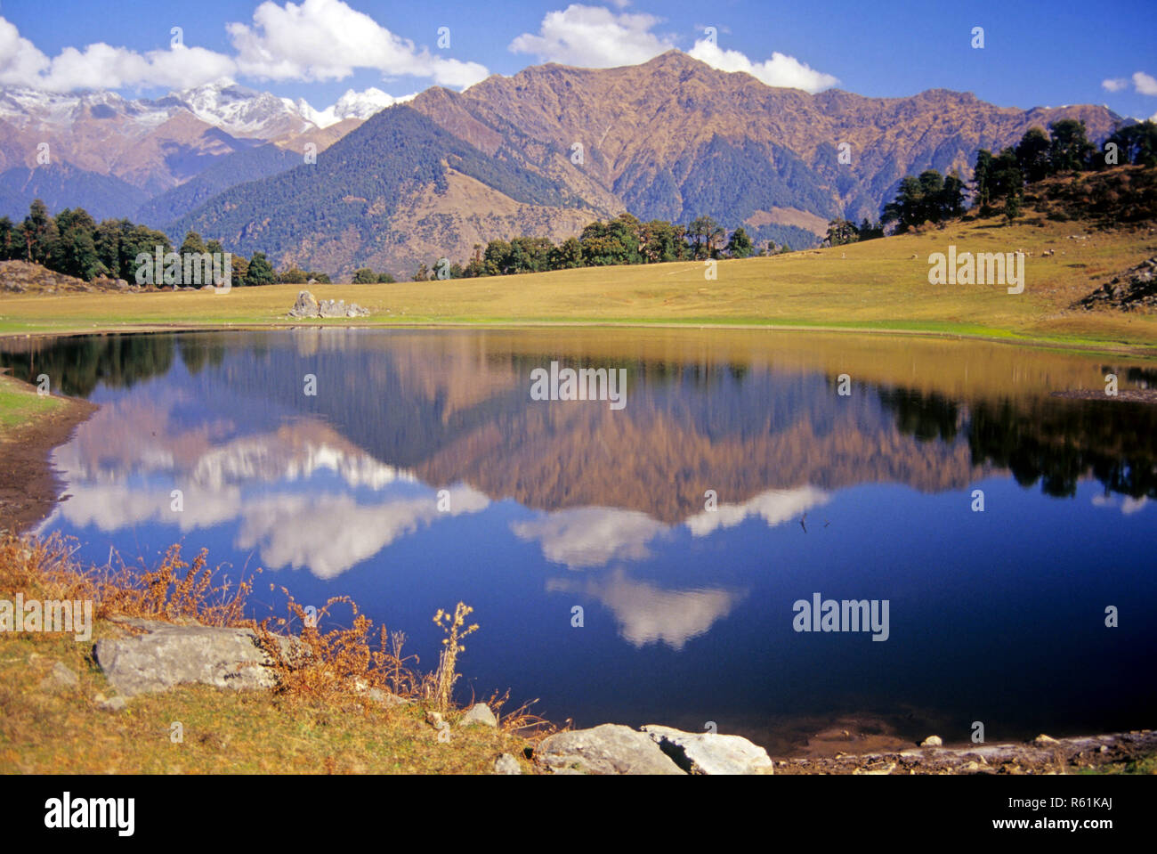 Toli toli hi-res stock photography and images - Alamy