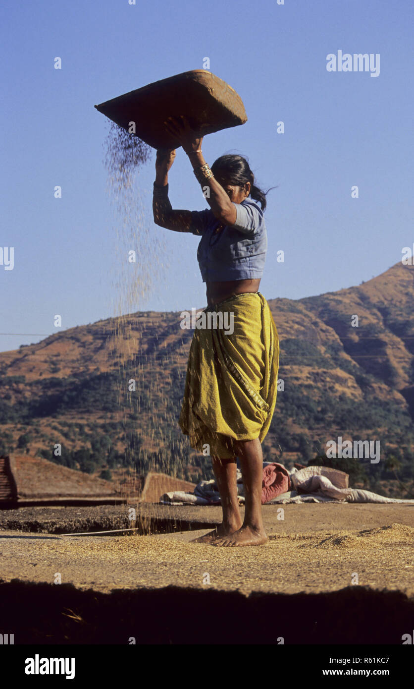 Winnowing hi-res stock photography and images - Alamy