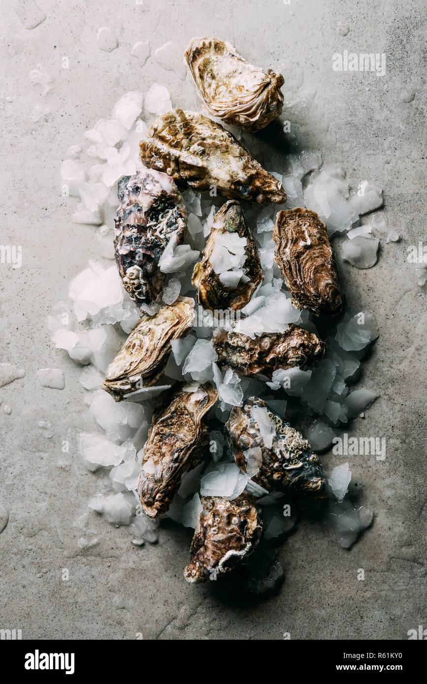 Top view oysters from hi-res stock photography and images - Alamy