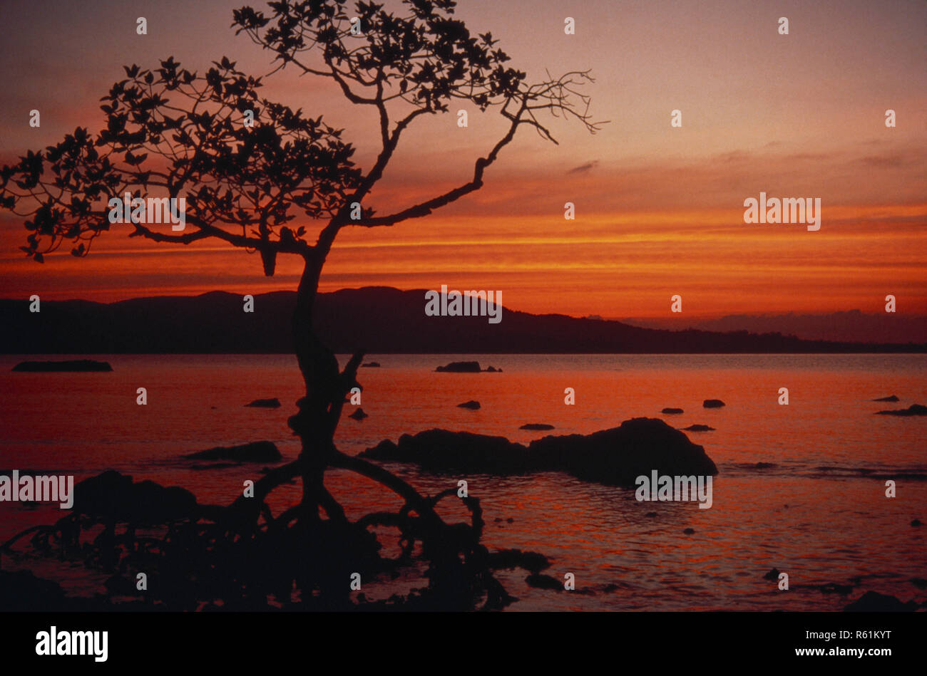 Chirya hi-res stock photography and images - Alamy