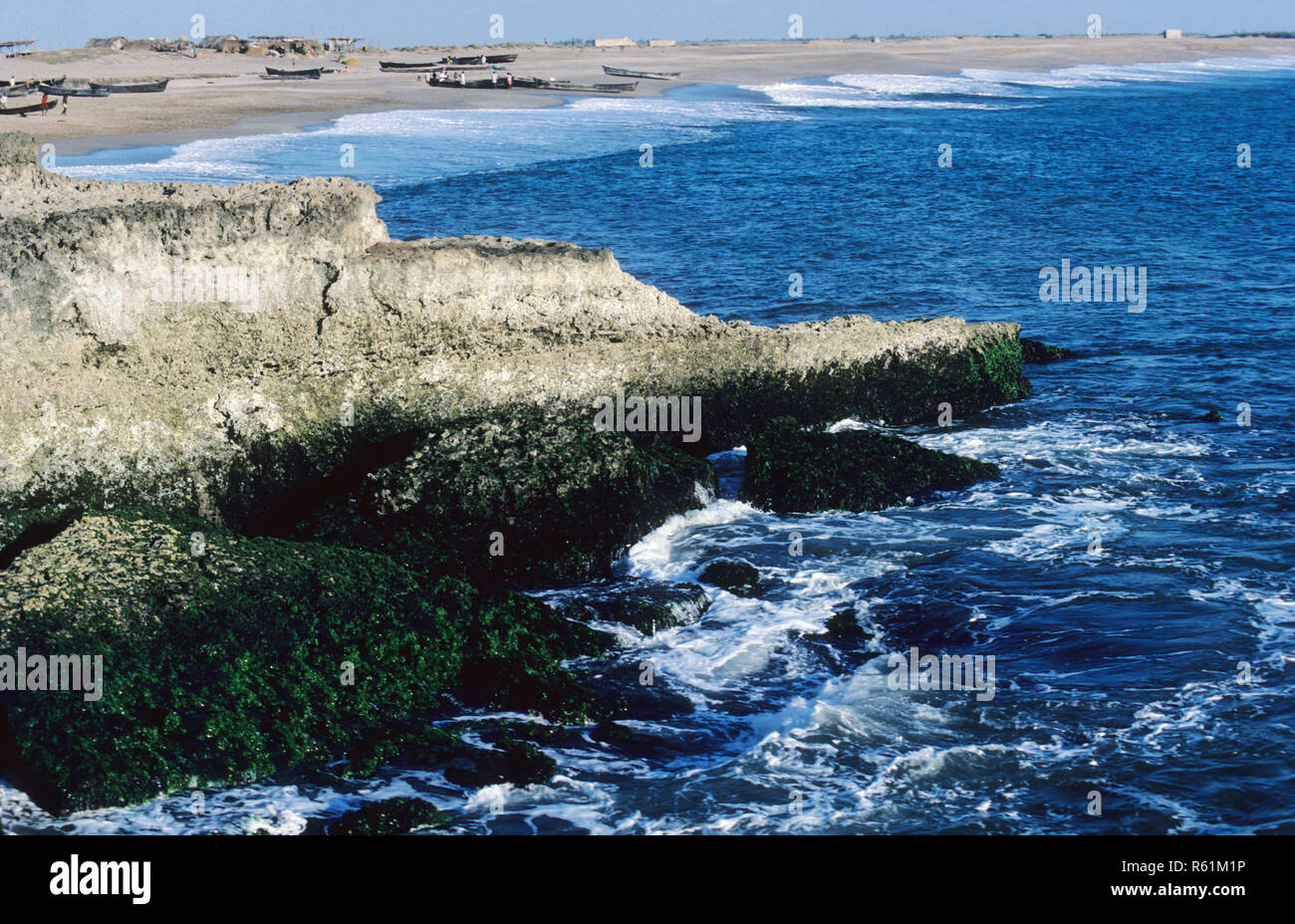 Scenic at Chorwad, Gujarat, India Stock Photo - Alamy