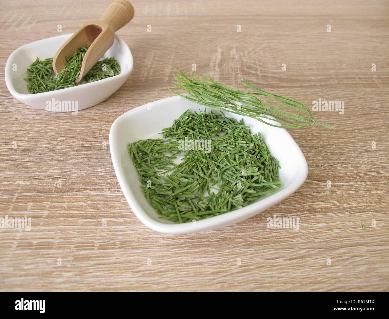 dried field horsetail Stock Photo - Alamy