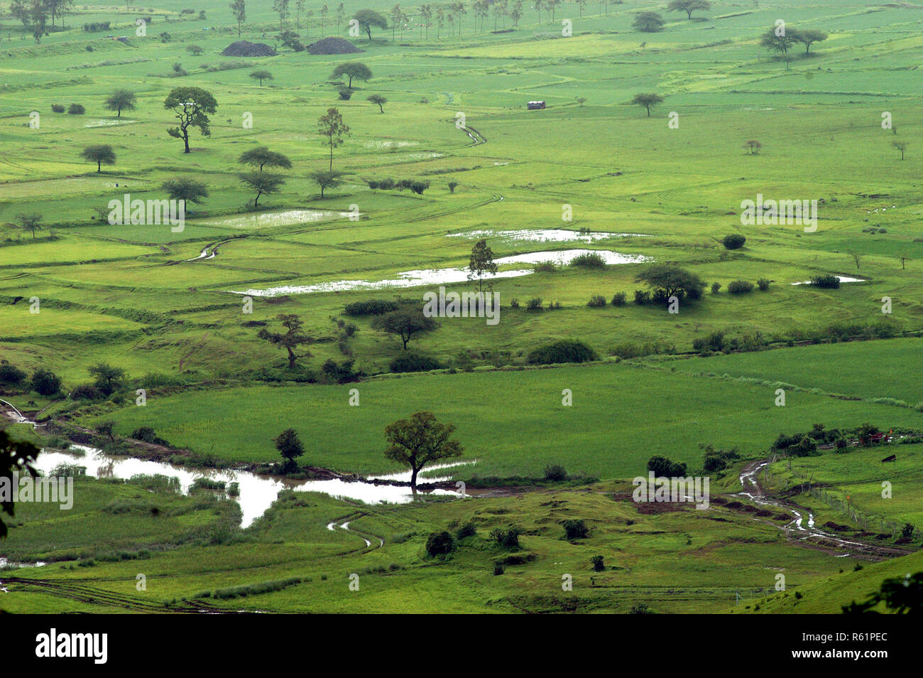 Greenery at Trimbakeshwar, near Nasik, Maharashtra, India Stock Photo ...