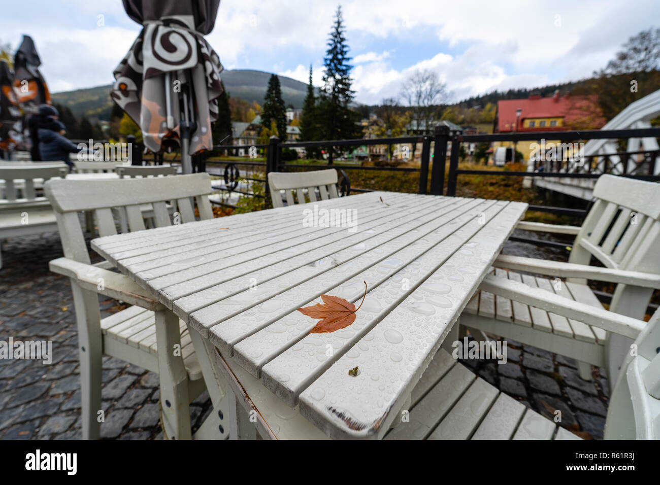Autumn leaf on the wet table of the street cafe Stock Photo - Alamy