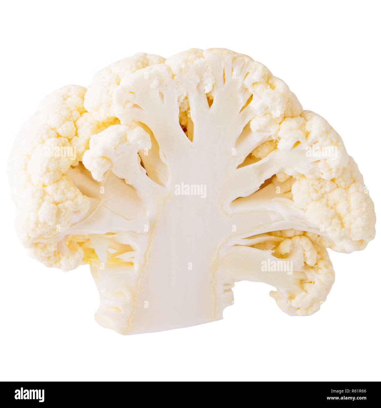 Culinary project Cut Out Stock Images & Pictures - Alamy