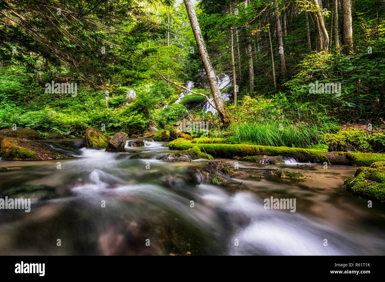 small cascading waterfall Stock Photo - Alamy