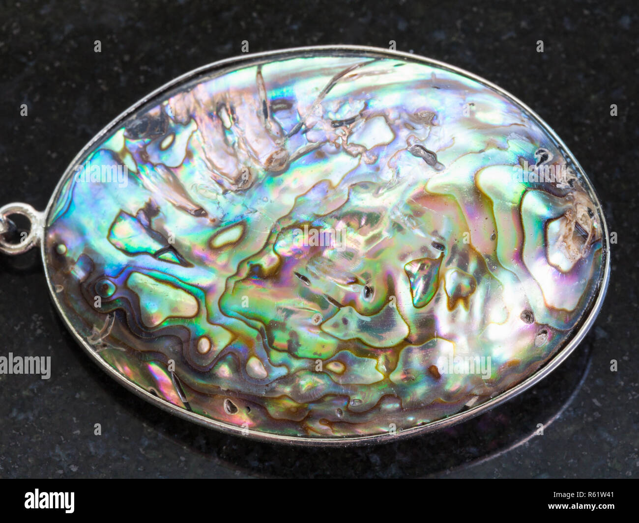 Rainbow abalone shell hi-res stock photography and images - Alamy