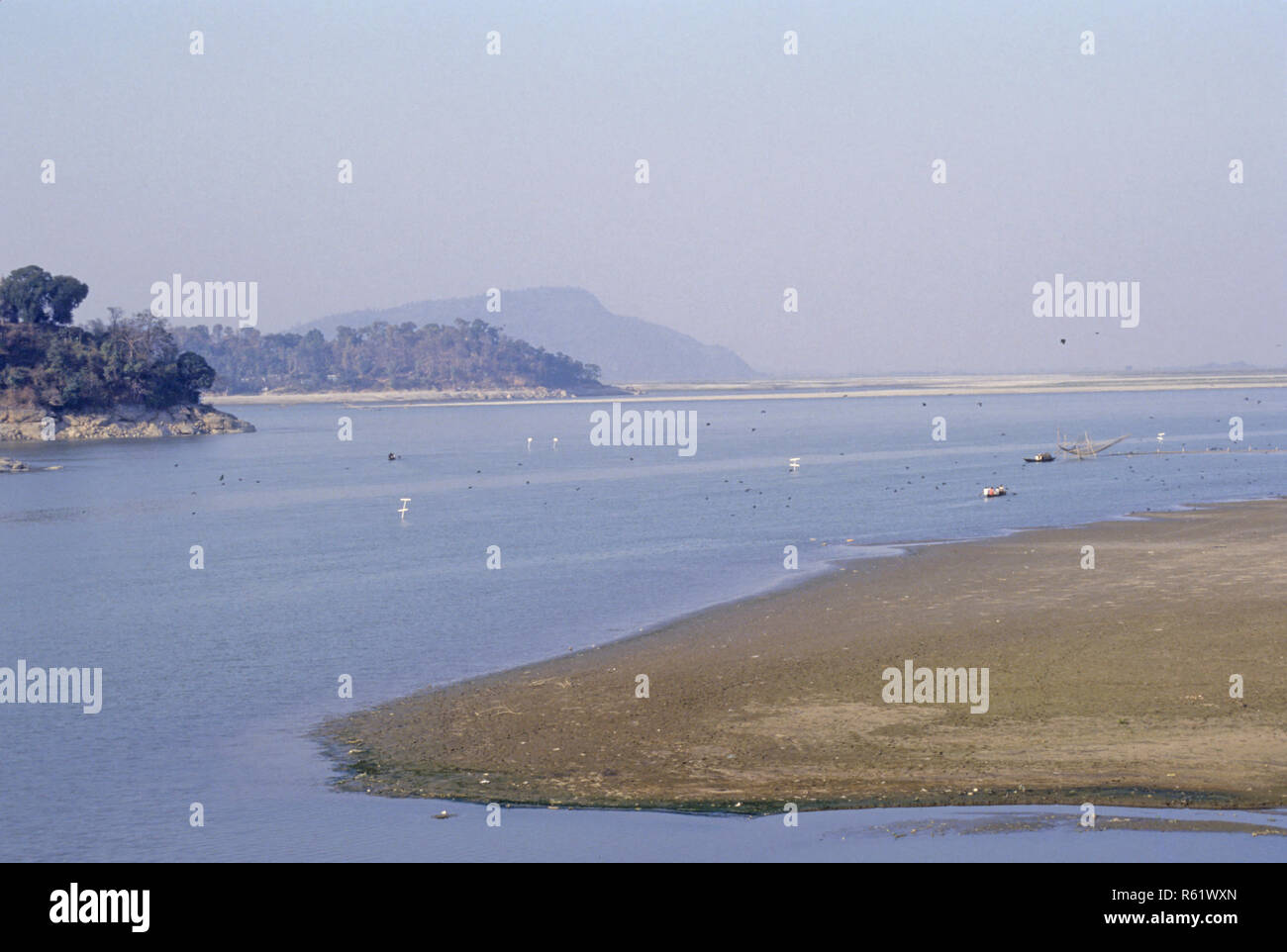 brahmaputra river, assam, india Stock Photo - Alamy