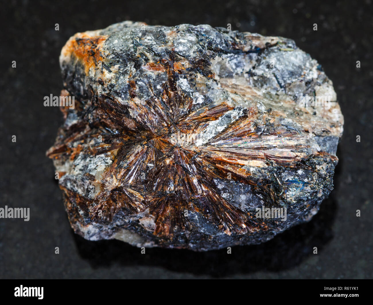 Lamprophyllite hi-res stock photography and images - Alamy