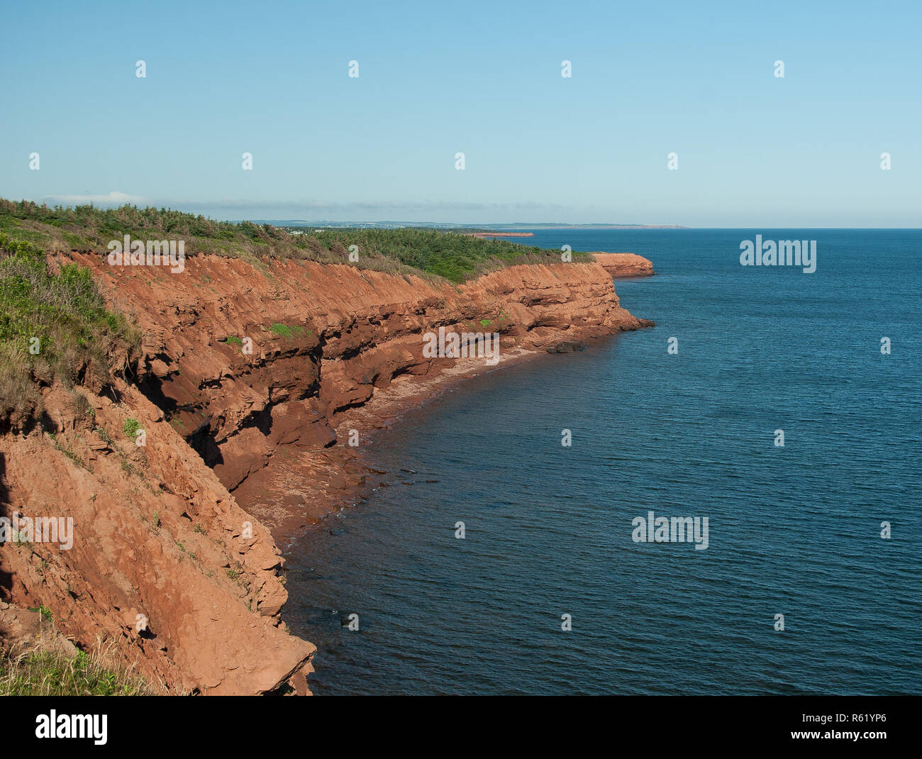view of the sea coast of prince edward island canada in summer with red ...