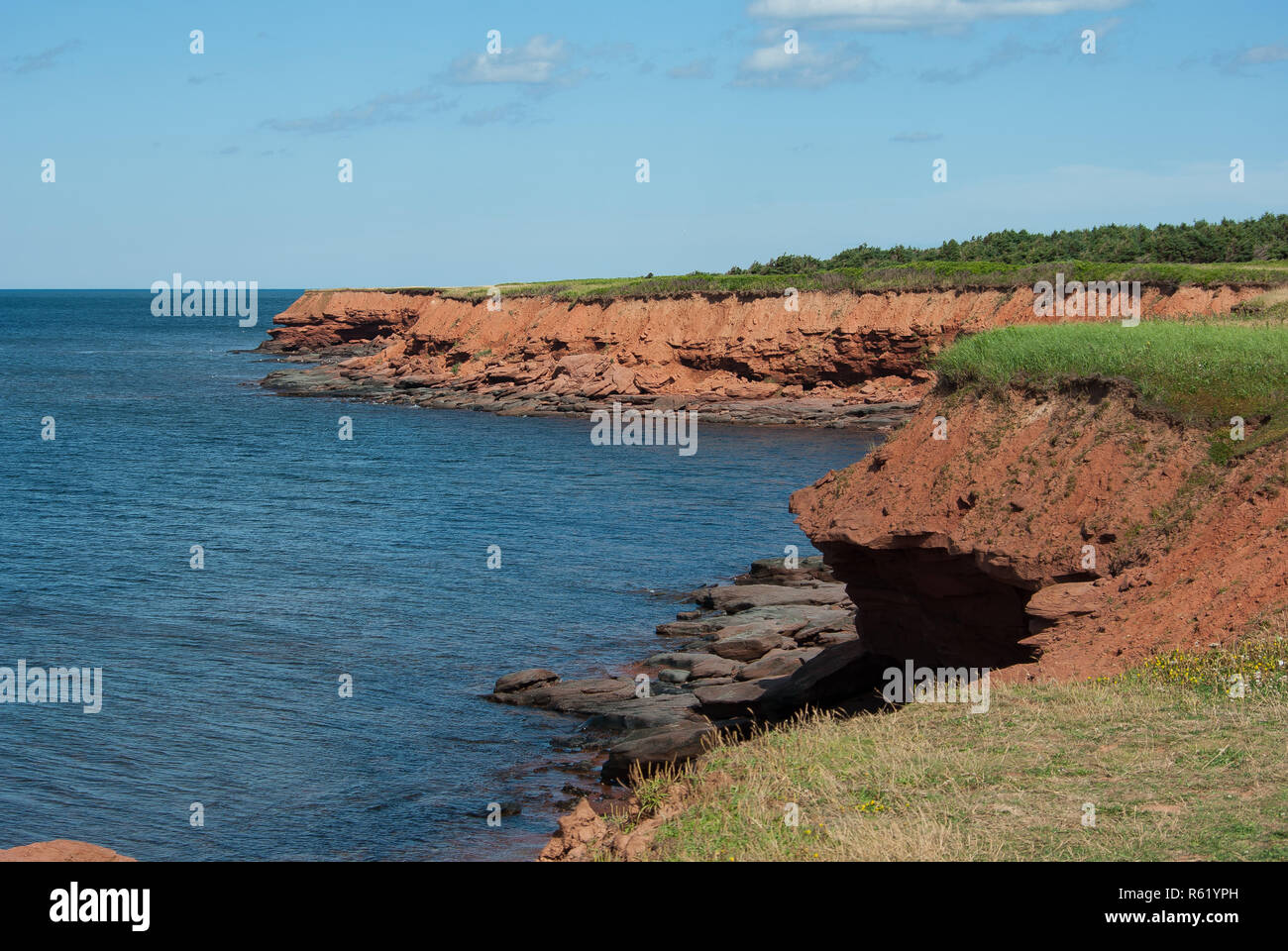 view of the sea coast of prince edward island canada in summer with red ...
