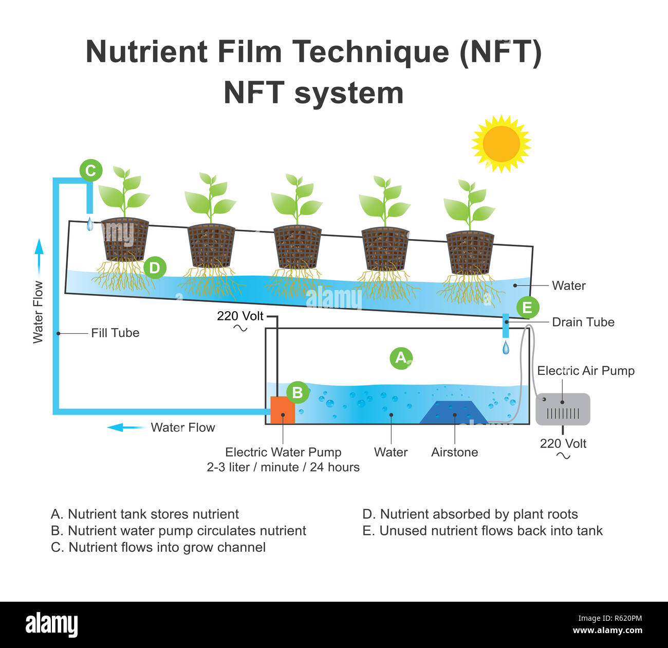 Nutrient film technique system hi-res stock photography and images - Alamy
