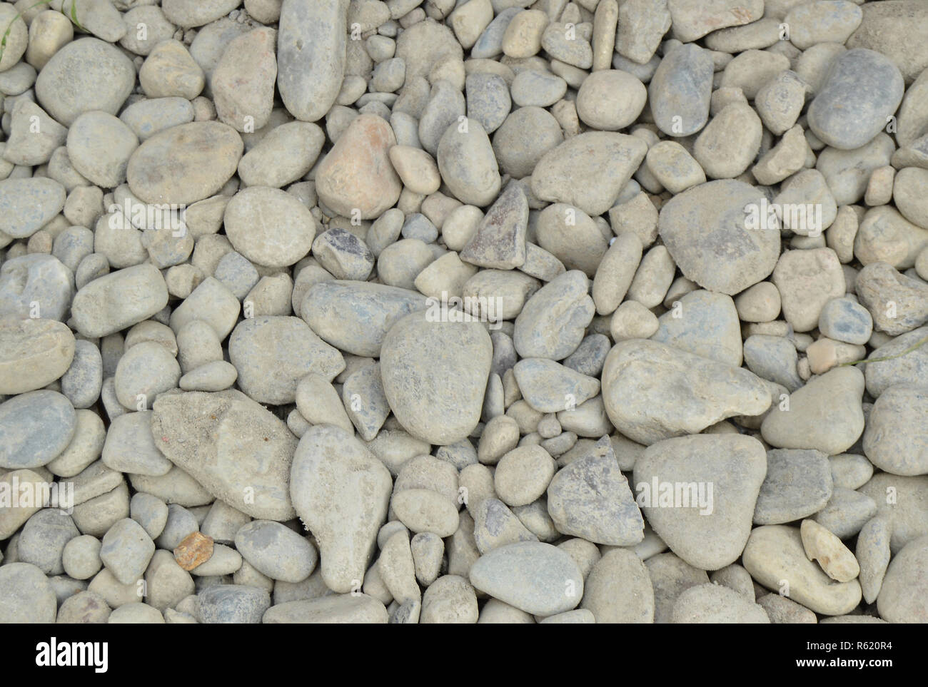 White pebble background with small round stones Stock Photo - Alamy