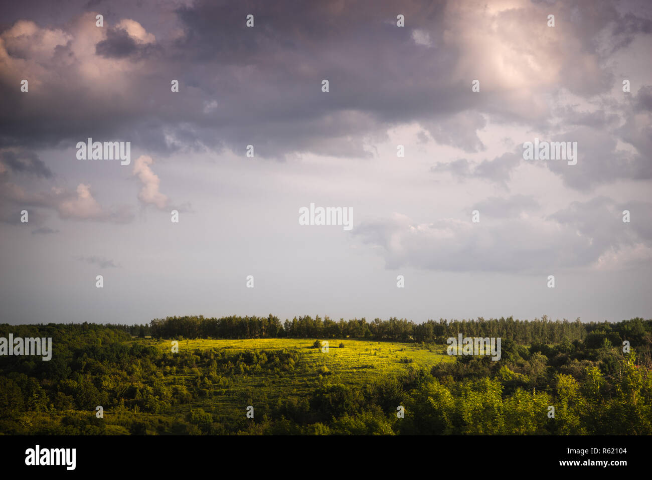 Landscape with endless field Stock Photo - Alamy