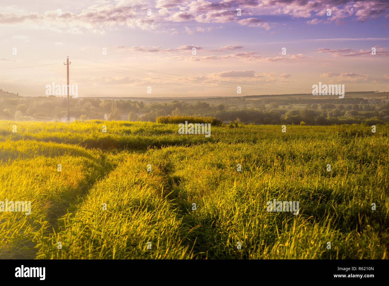 Landscape with endless field Stock Photo - Alamy