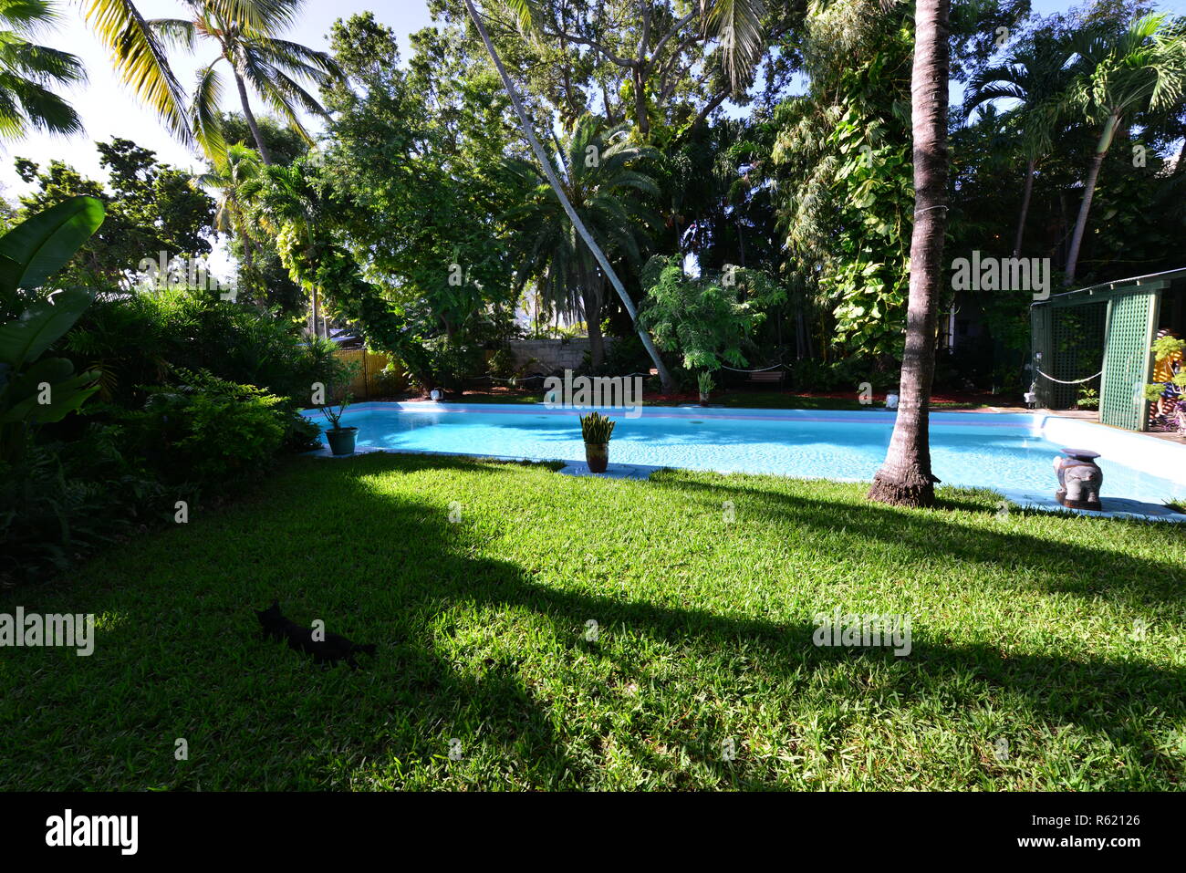 The swimming pool at Earnest Hemingway's home Stock Photo - Alamy