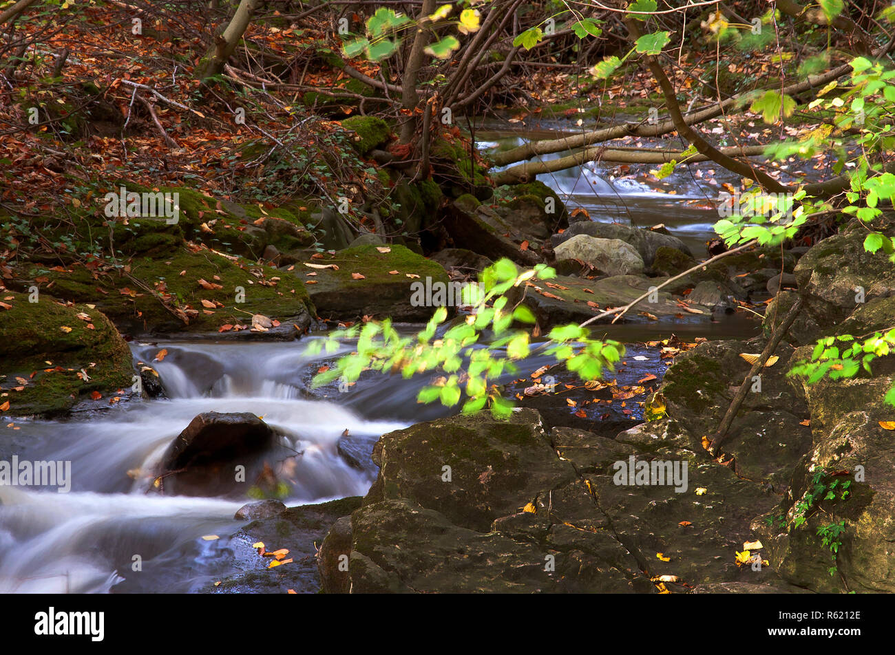 Newbrough burn, Northumberland Stock Photo - Alamy