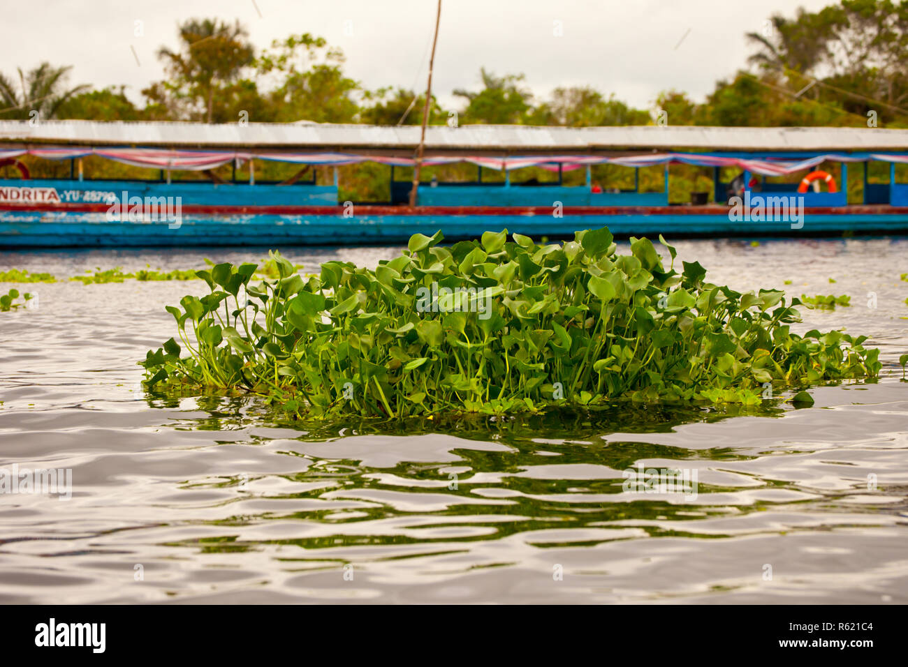 Fitzcarraldo peru hi-res stock photography and images - Alamy