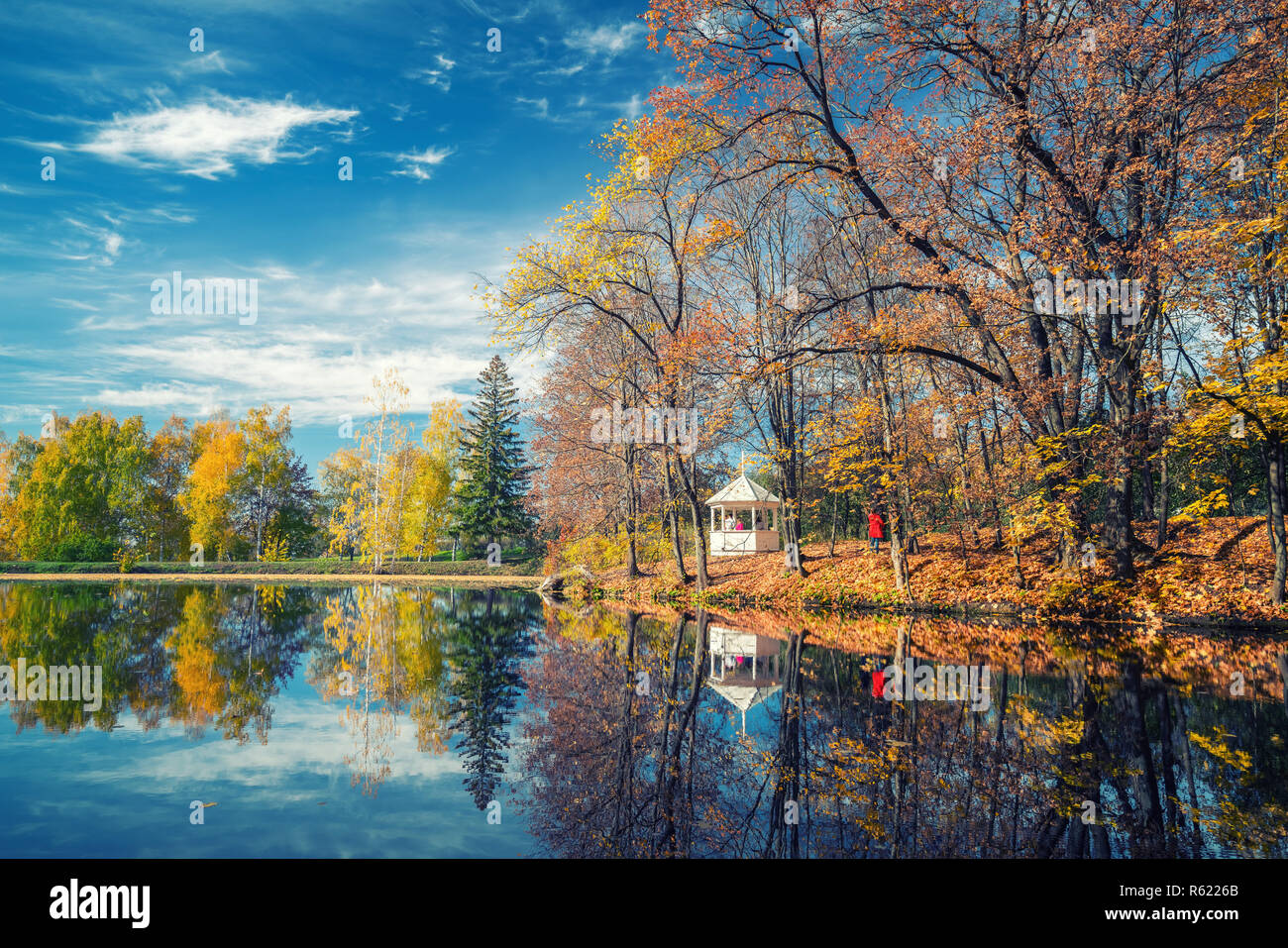 Sunny autumn in the park over lake Stock Photo - Alamy