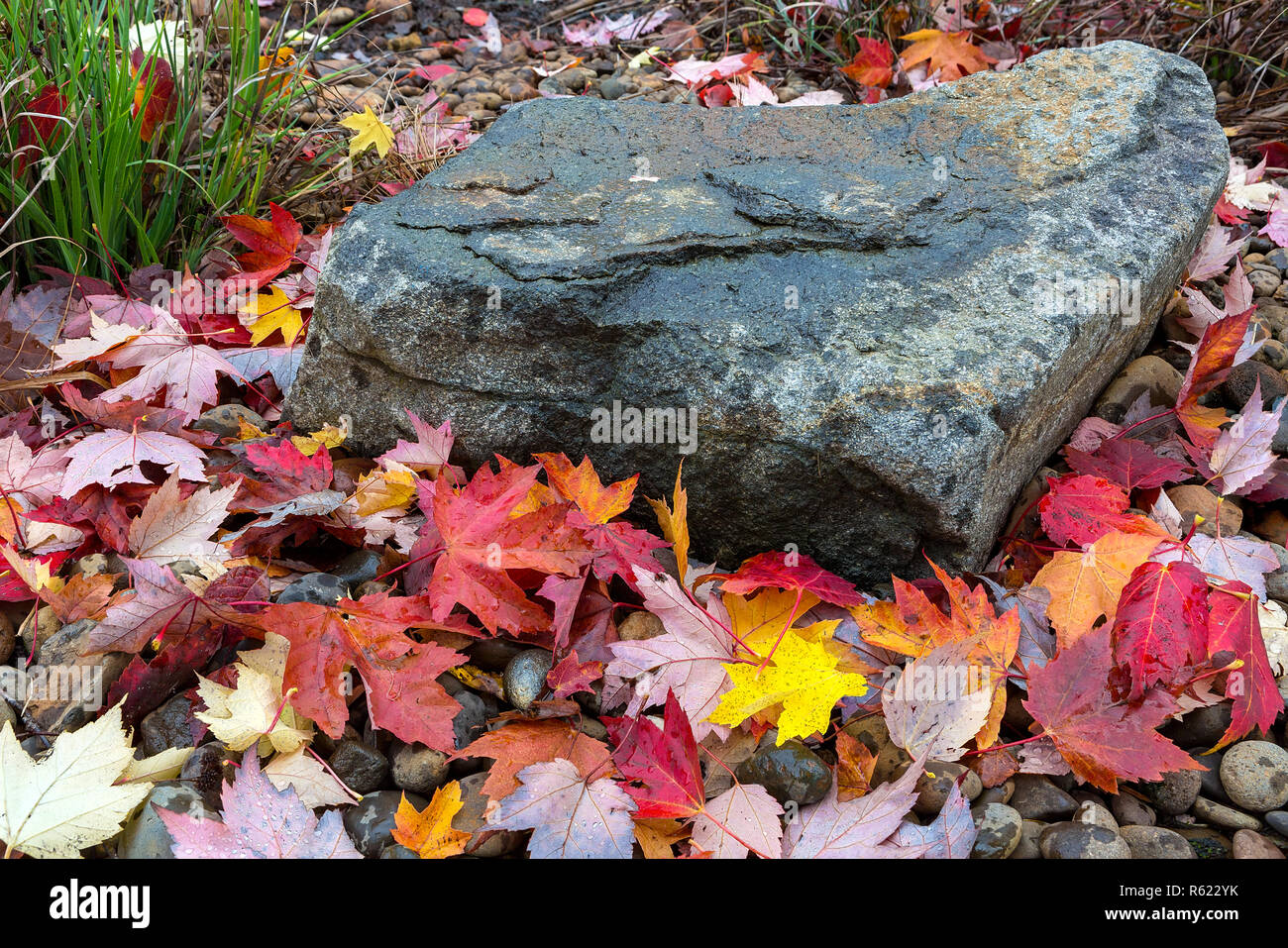 Lawn rock garden covered hi-res stock photography and images - Alamy