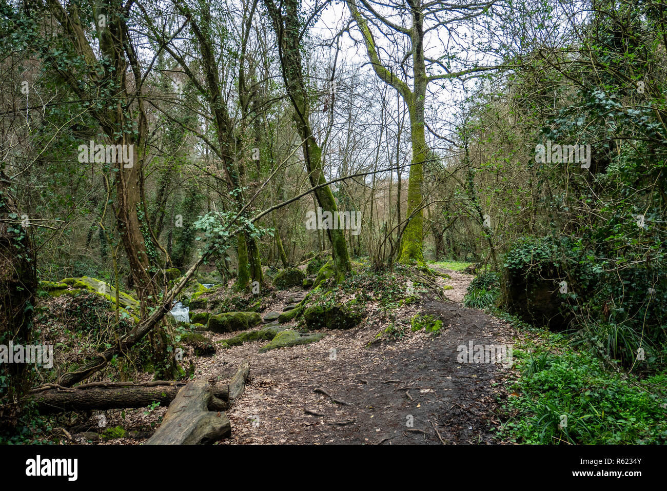 Mazzano romano hi-res stock photography and images - Alamy