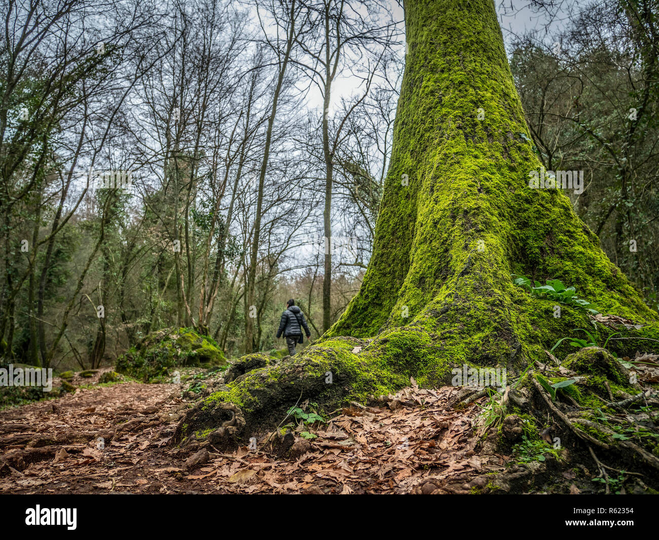 Mazzano romano hi-res stock photography and images - Alamy