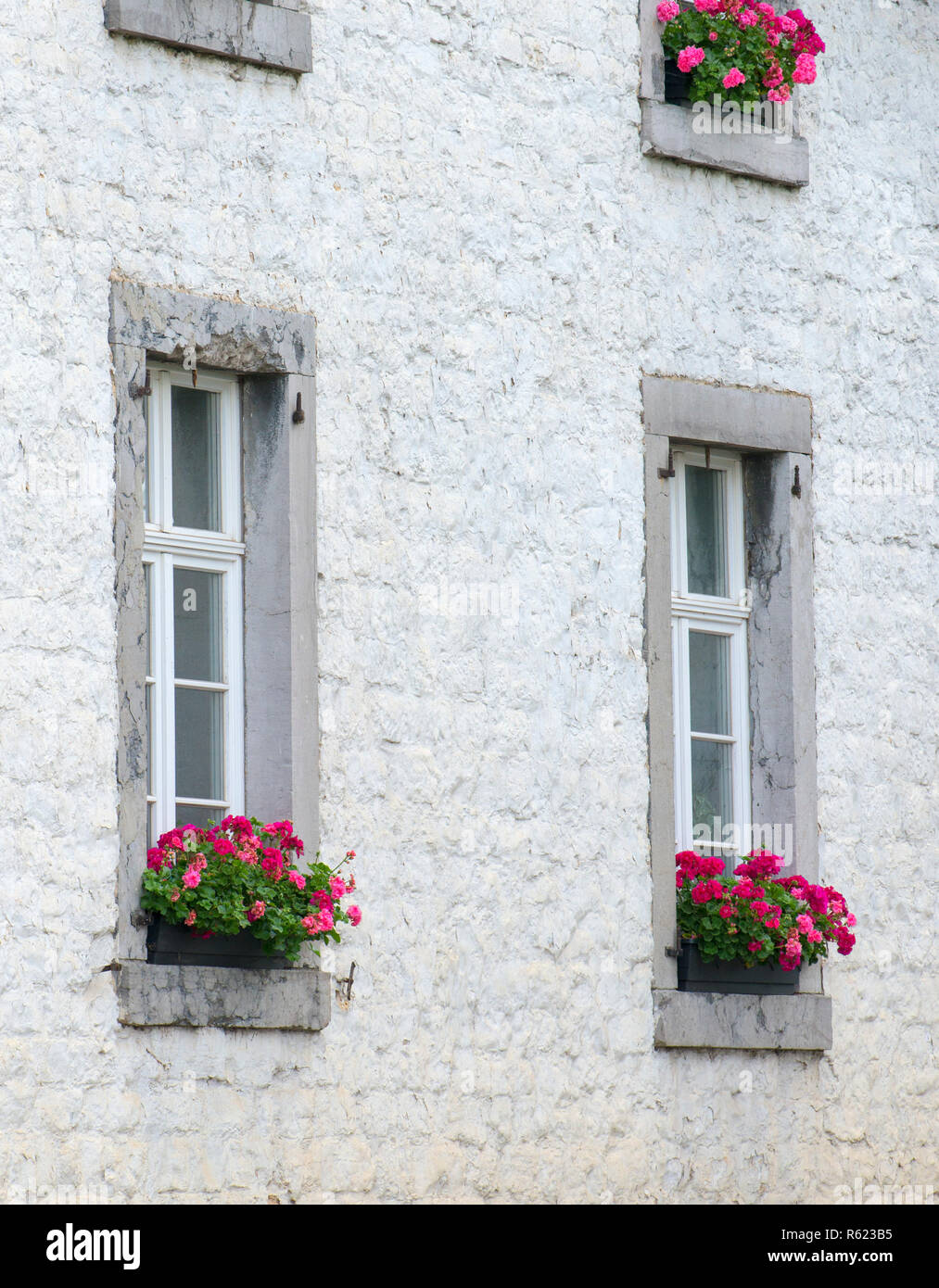 white wall and flowers at windows Stock Photo - Alamy