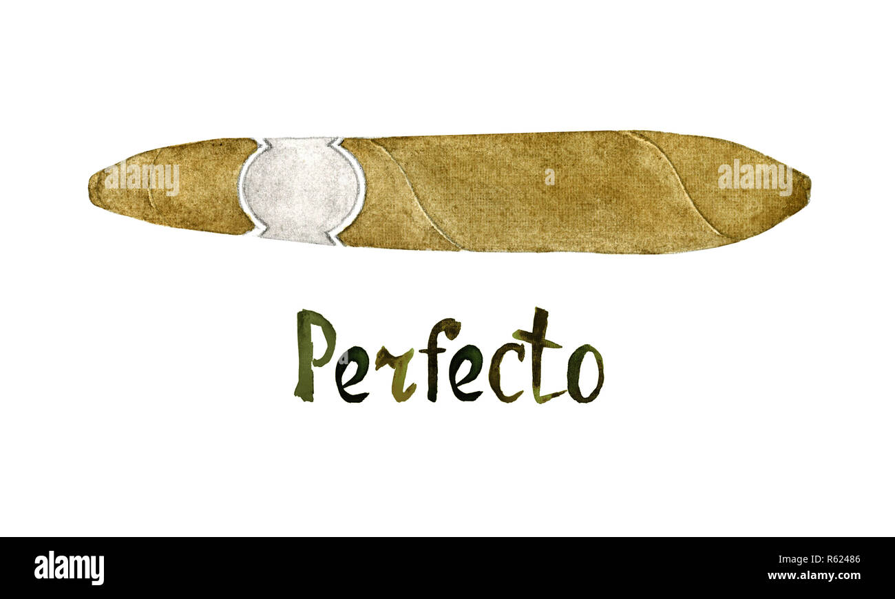 Perfecto cigar shape, isolated hand painted watercolor illustration ...