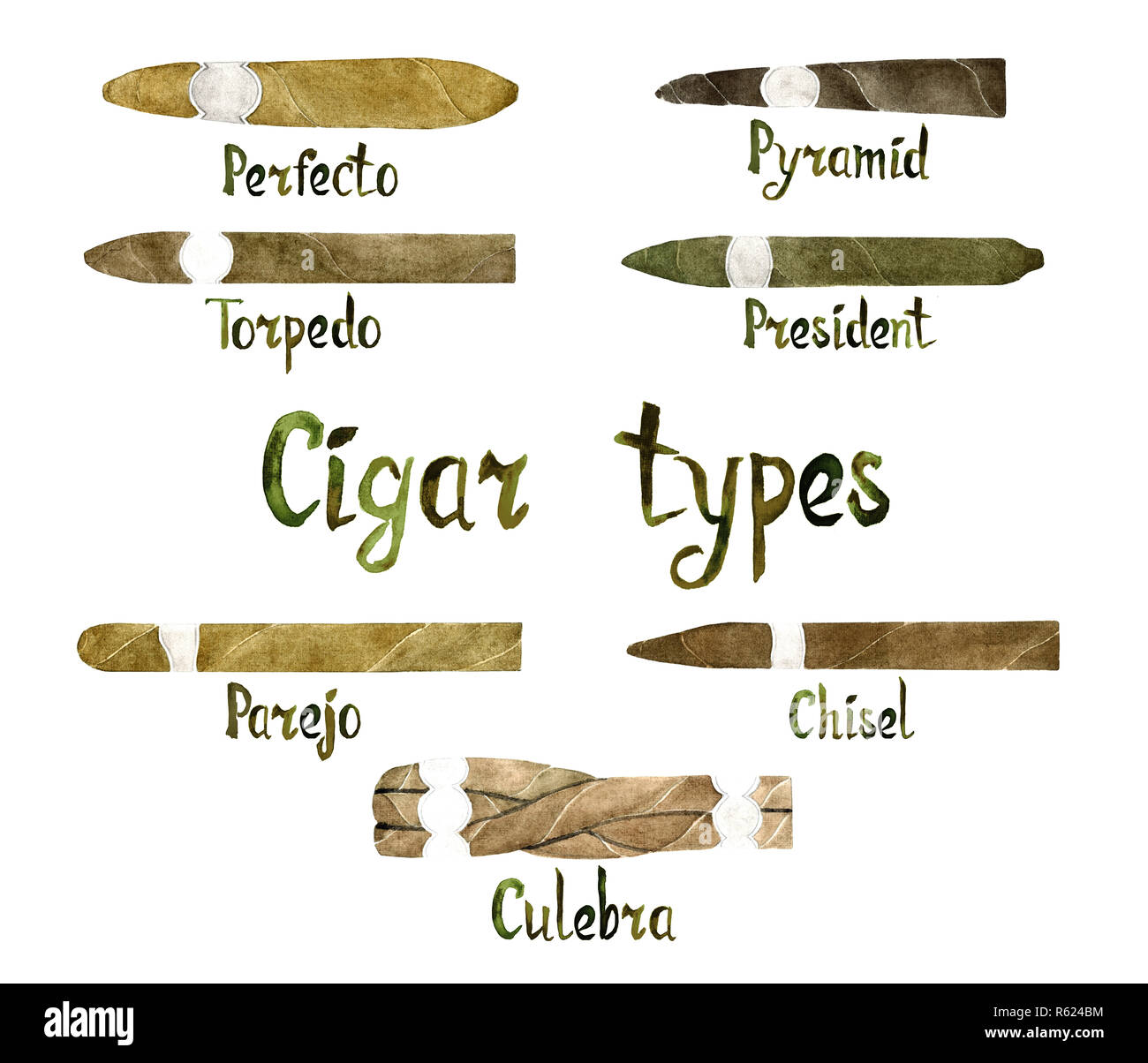 Cigar shapes types: perfecto, pyramid, torpedo, president, parejo ...