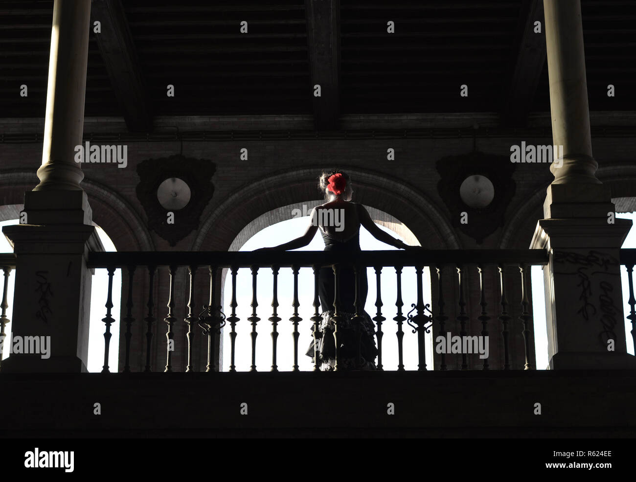 a beautiful flamenco dancer, sensual, and with the traditional face ...