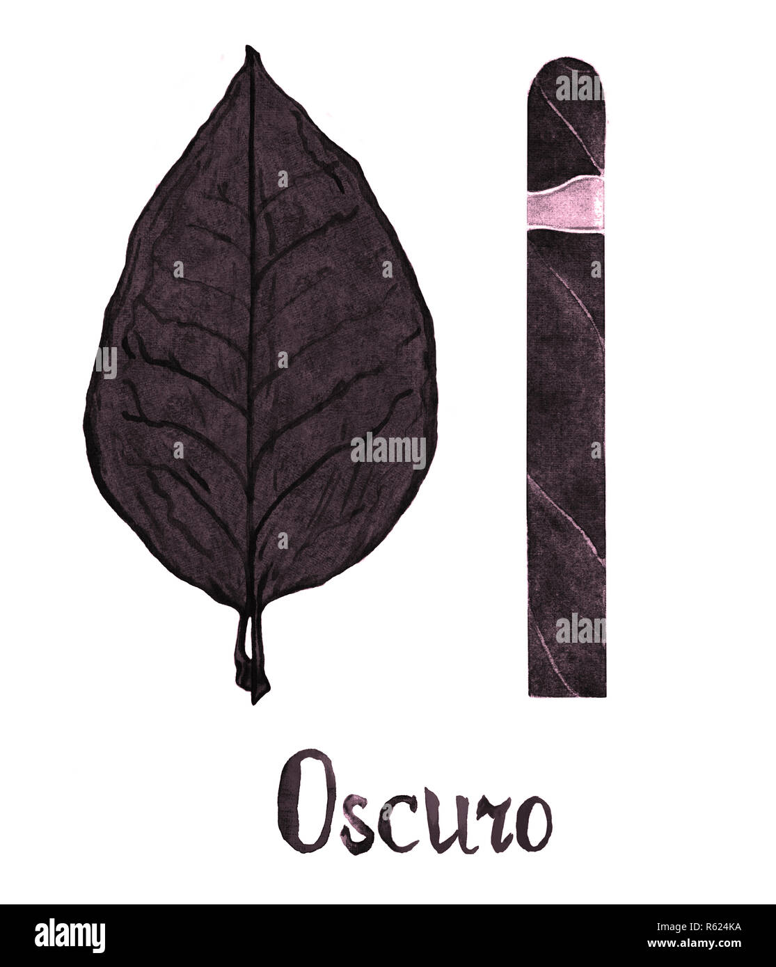 Cigar oscuro wrapper leaf color type, isolated hand painted watercolor ...
