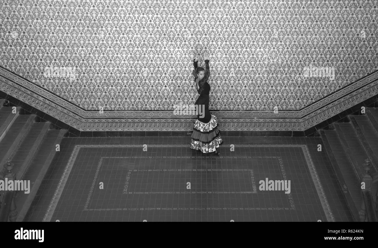 a beautiful flamenco dancer, sensual, and with the traditional face ...