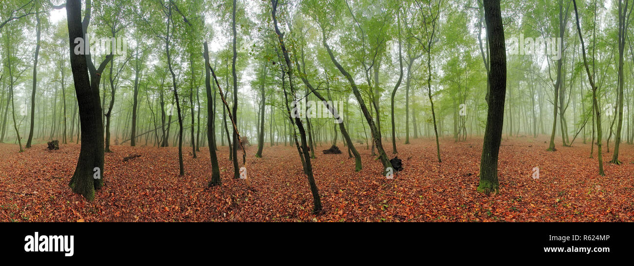 360 panorama hi-res stock photography and images - Alamy