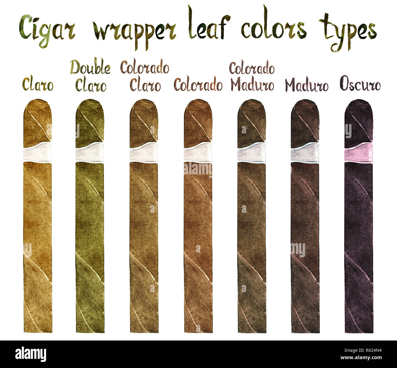 Cigar wrapper leaf colors types: Claro, Double Claro, Colorado Claro ...