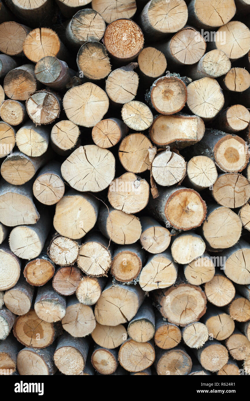 Sawed tree trunks and branches in different sizes, piled up in blue ...