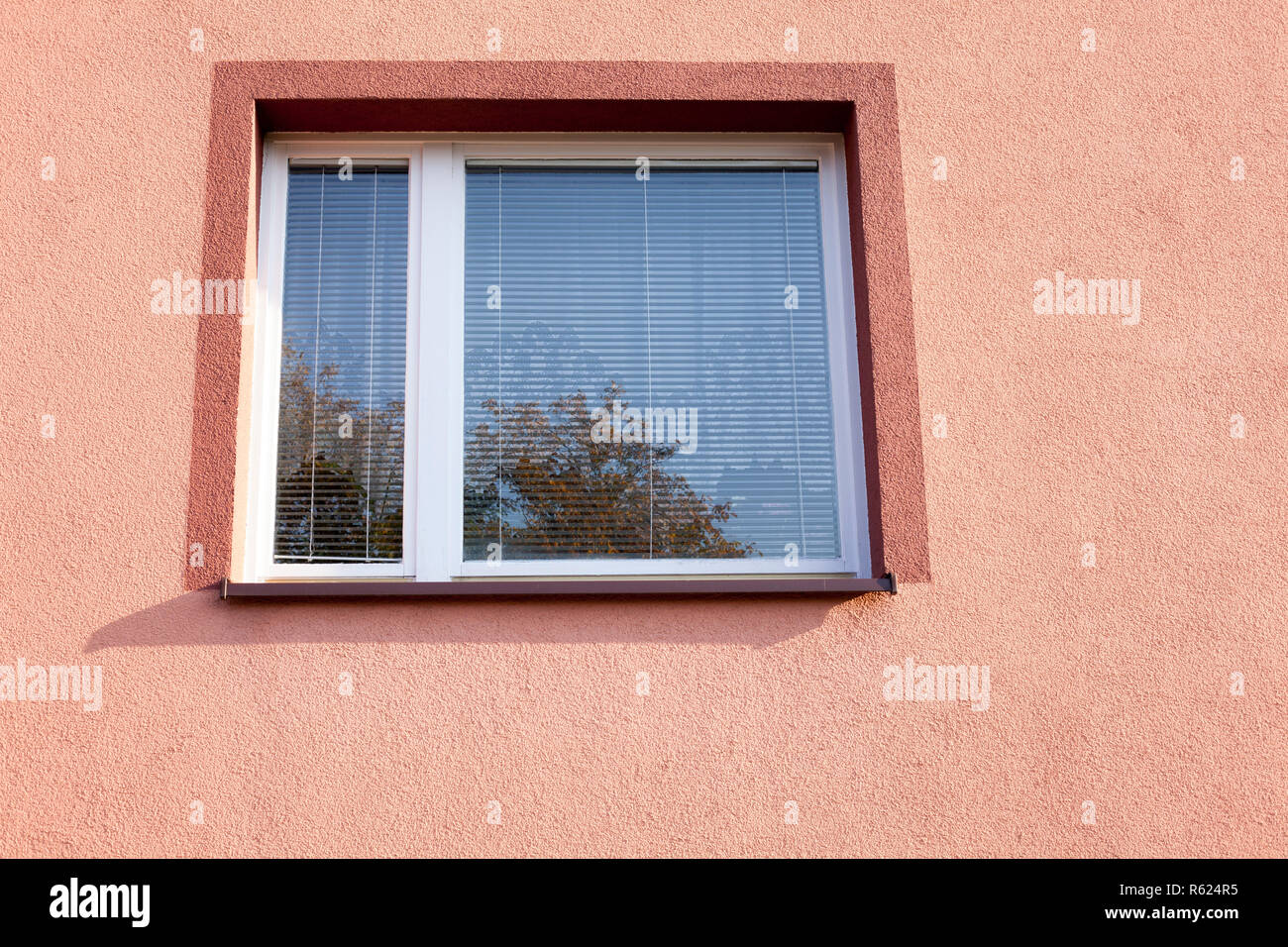 Poland brasil hi-res stock photography and images - Alamy