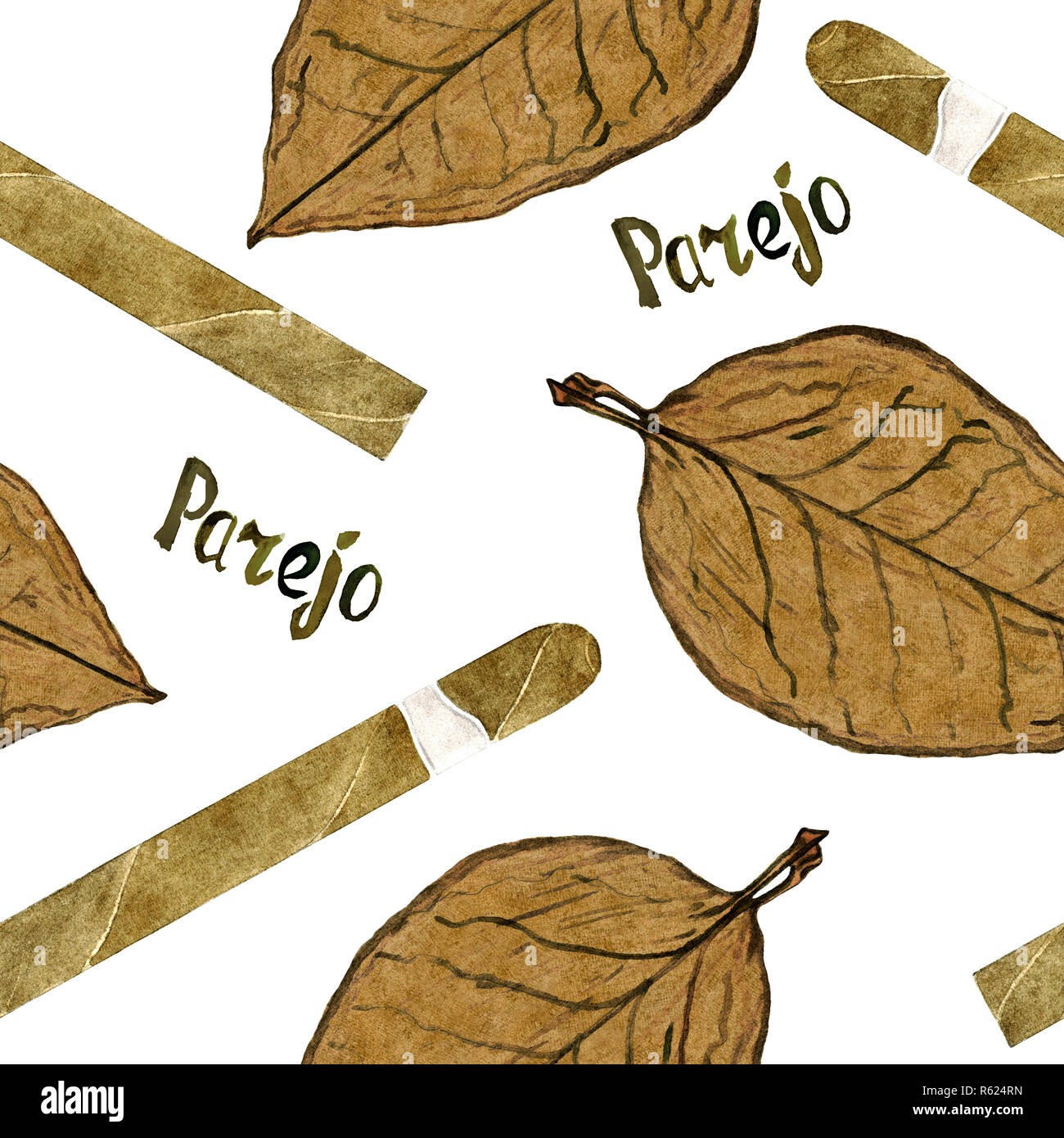 Parejo cigar shape and tobacco leaf, hand painted watercolor ...
