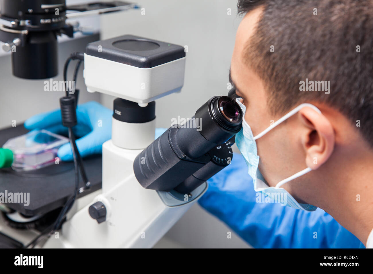 Young male scientist looking at cell culture under the microscope Stock ...
