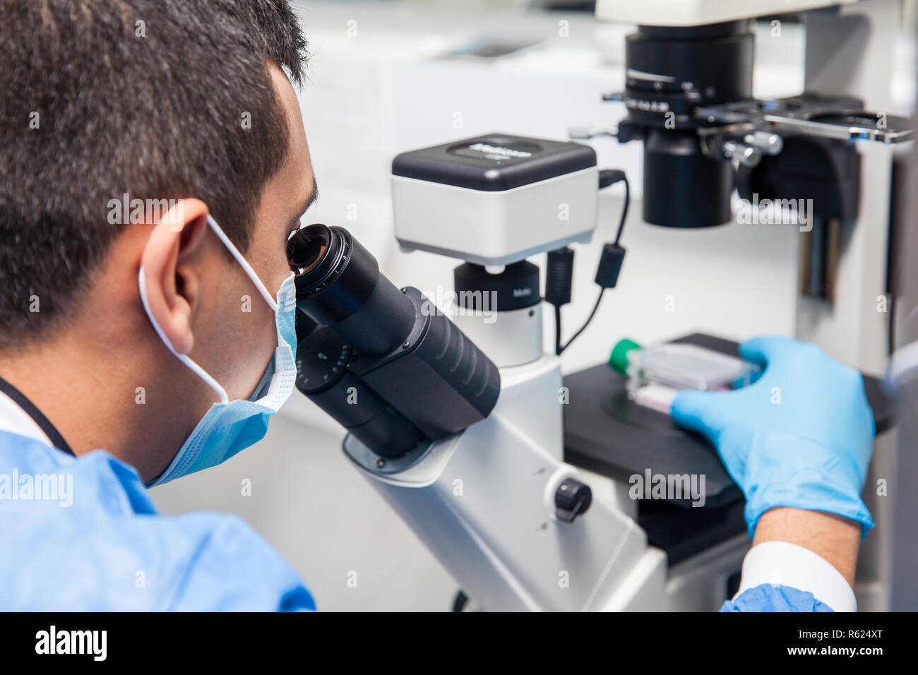 Young male scientist looking at cell culture under the microscope Stock ...