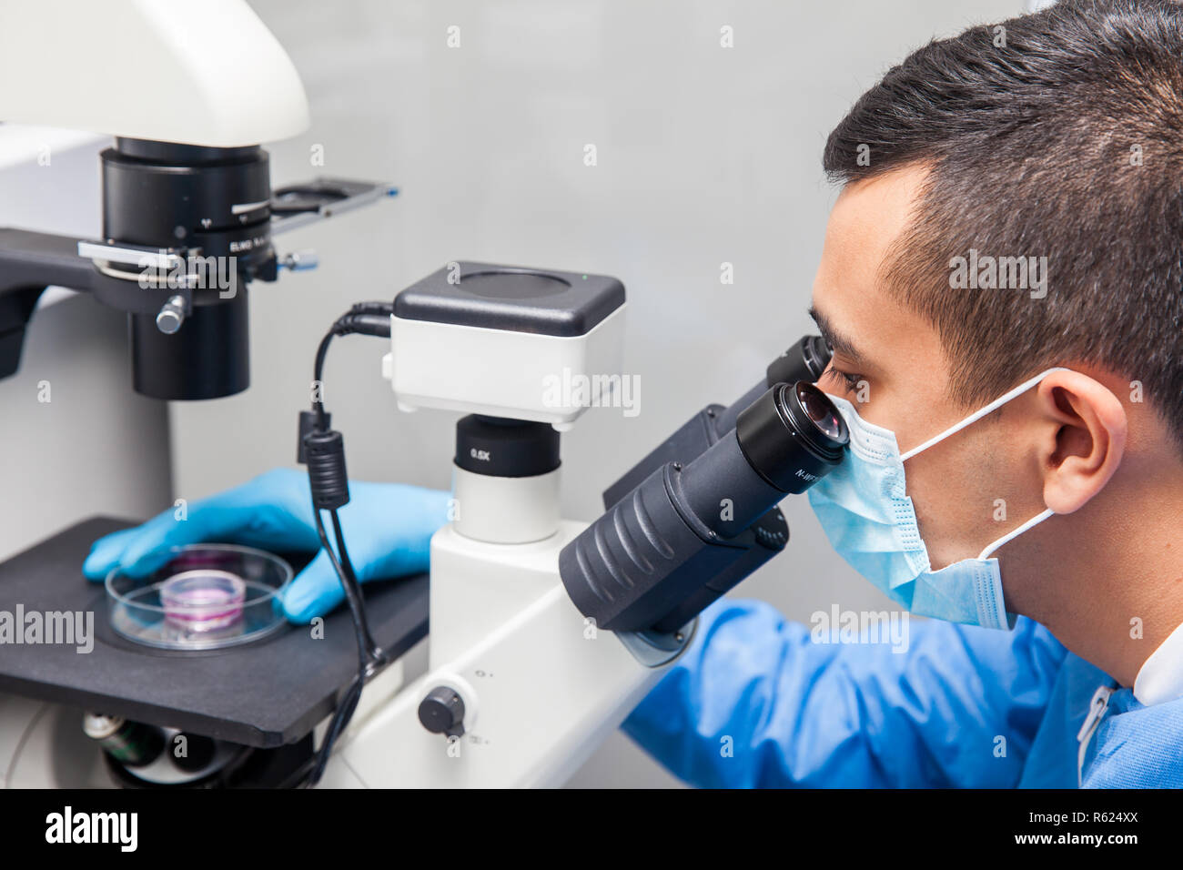 Young male scientist looking at cell culture under the microscope Stock ...