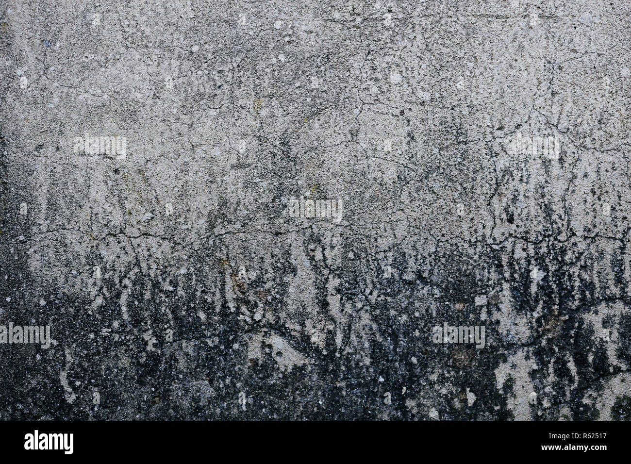 the texture of the old grey walls Stock Photo - Alamy