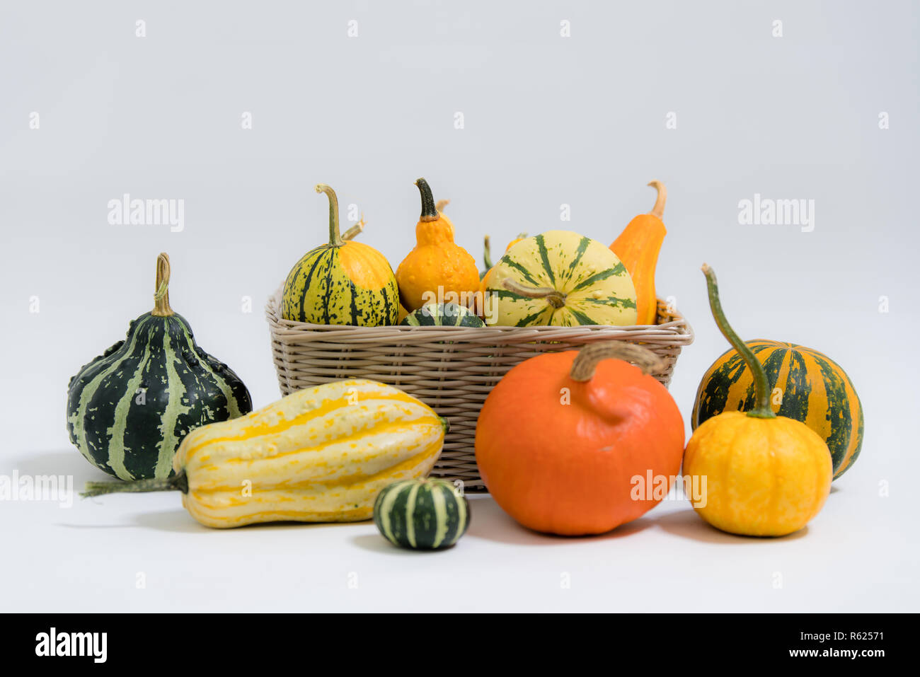 colorful ornamental squashes Stock Photo - Alamy
