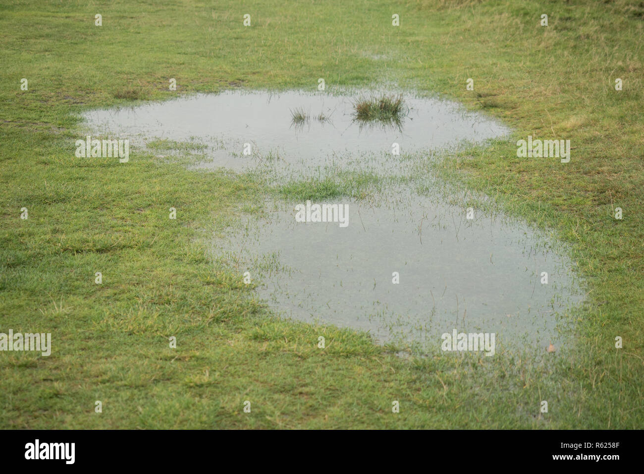 Big puddles on the street hi-res stock photography and images - Alamy