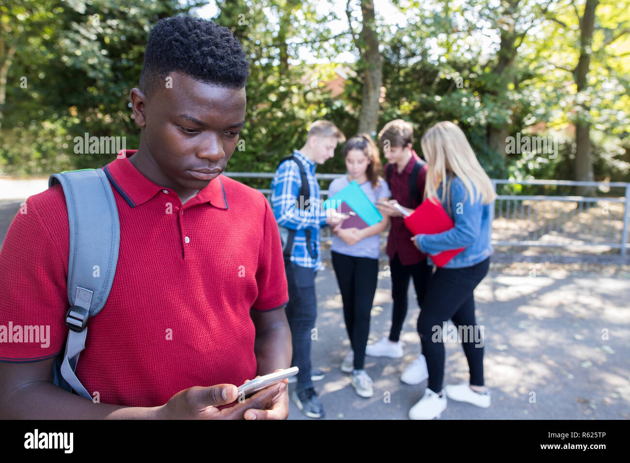 High School Boys Bullying