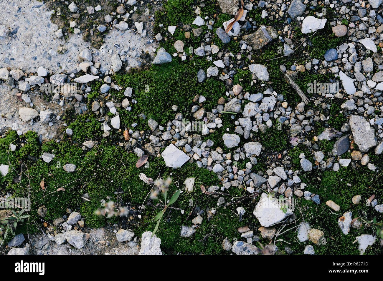 Under my feet hi-res stock photography and images - Alamy