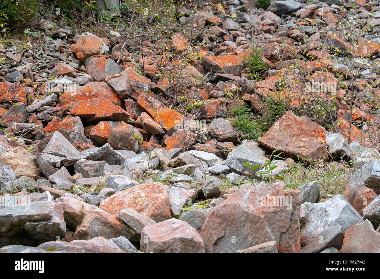 Aerial algae hi-res stock photography and images - Alamy
